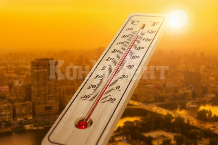 Лятото на 2022 година е най топлото регистрирано в Европа Konkurent Bg