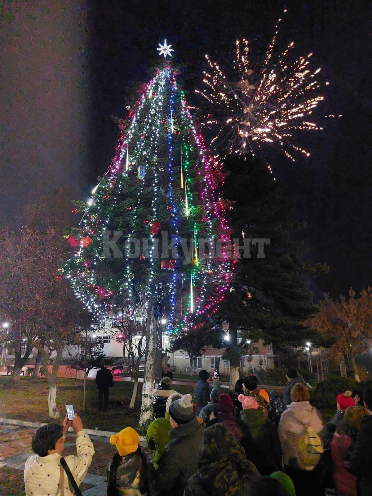 И коледната елха в Гложене заблестя празнично СНИМКИ : Konkurent.bg